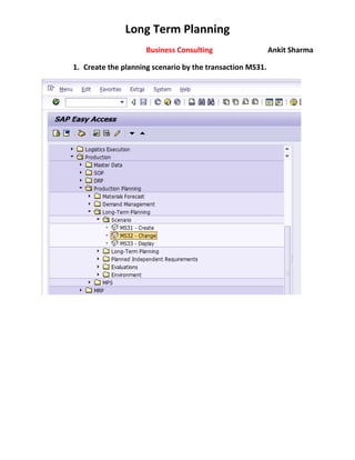 SAP Long Term PLANNING | PDF