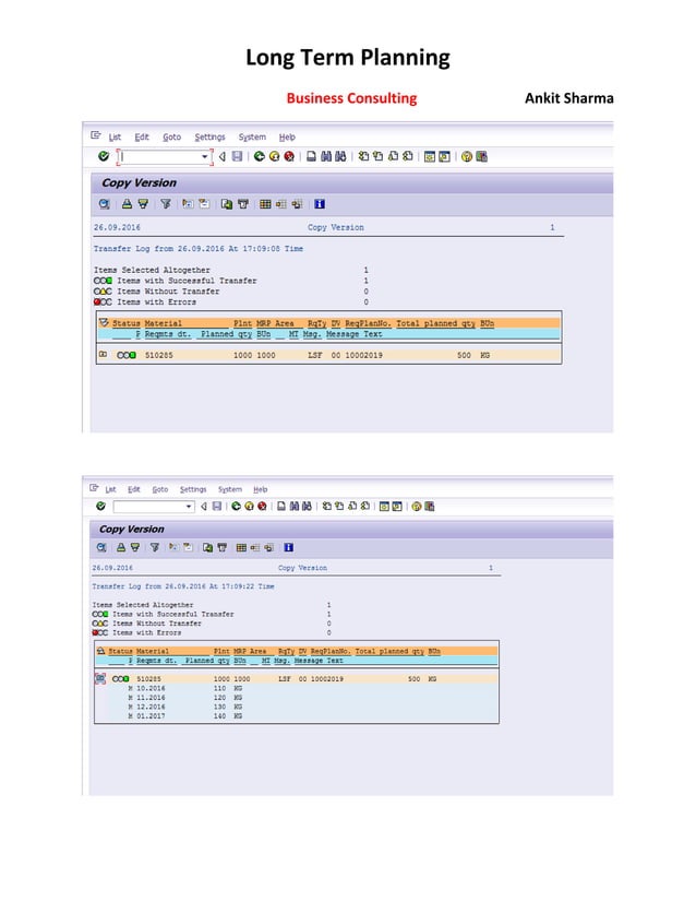 SAP Long Term PLANNING | PDF