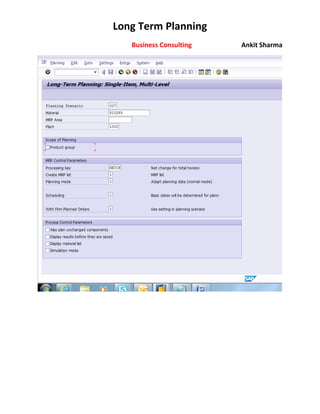 SAP Long Term PLANNING | PDF