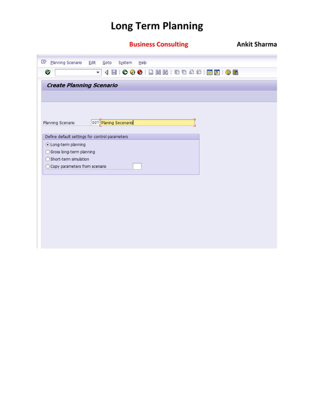 SAP Long Term PLANNING | PDF