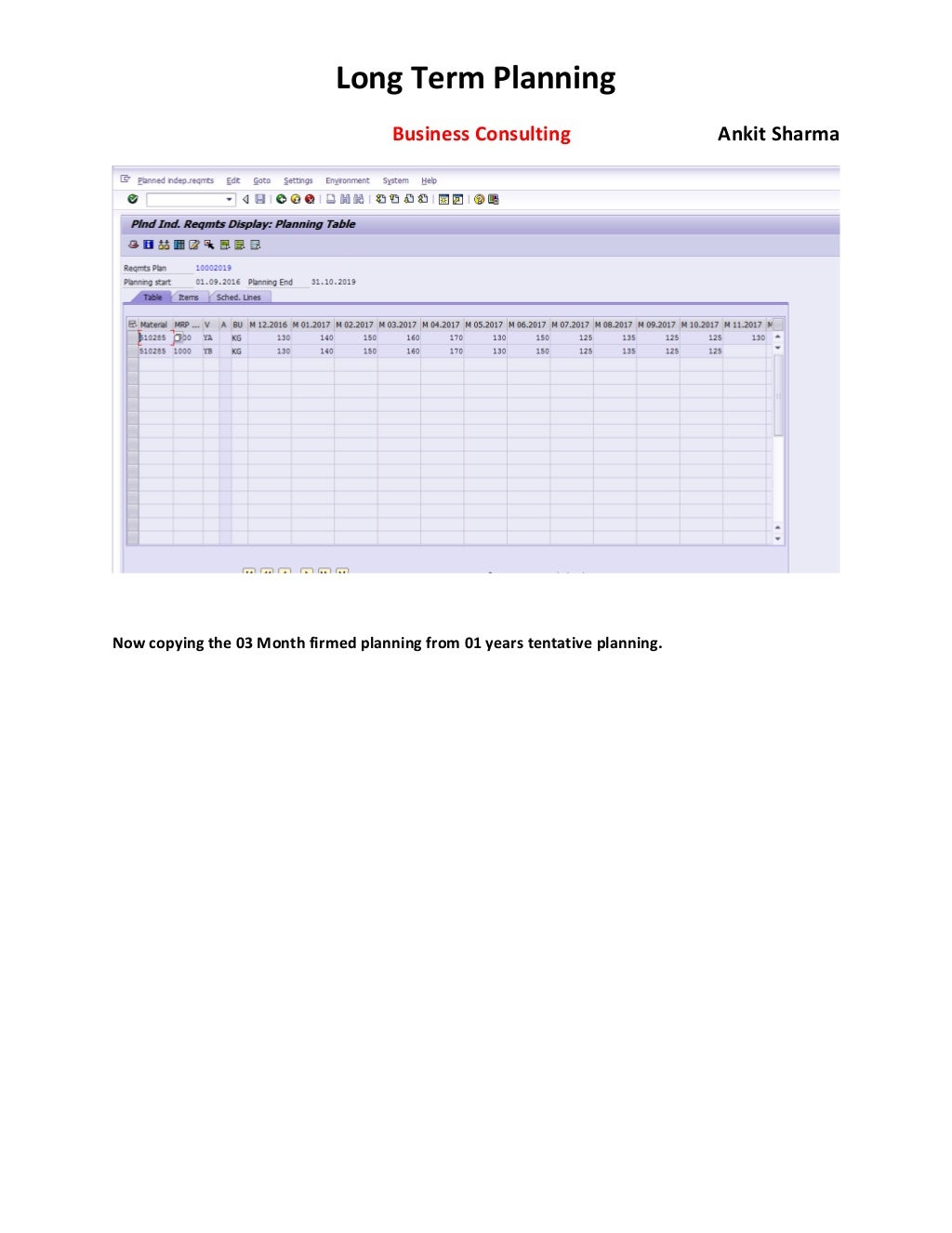 SAP Long Term PLANNING sap-long-term-planning