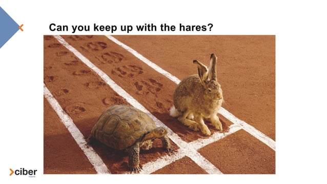 SAP & Mendix - a piece of cake? | PDF | Computer Software and Applications | Computing