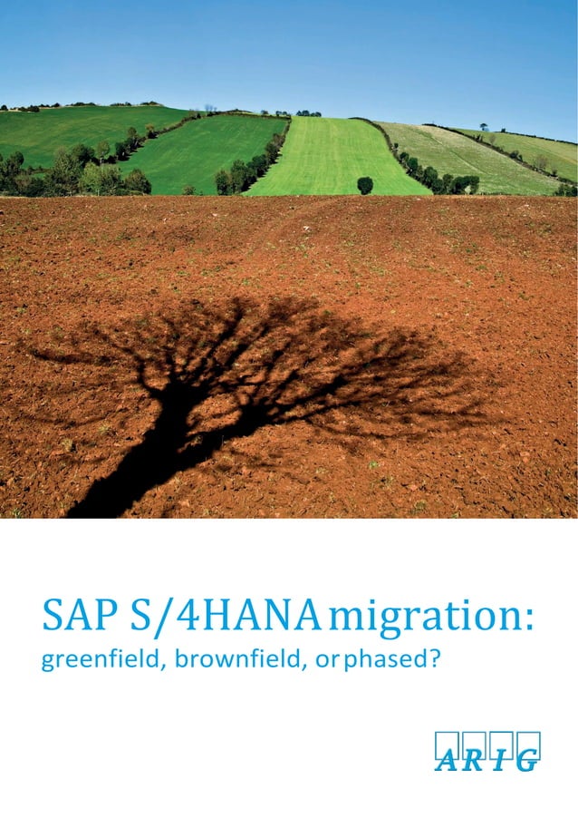 SAP ERP IMPLEMENTATION AND Sap migration | PDF | Databases | Computer Software and Applications
