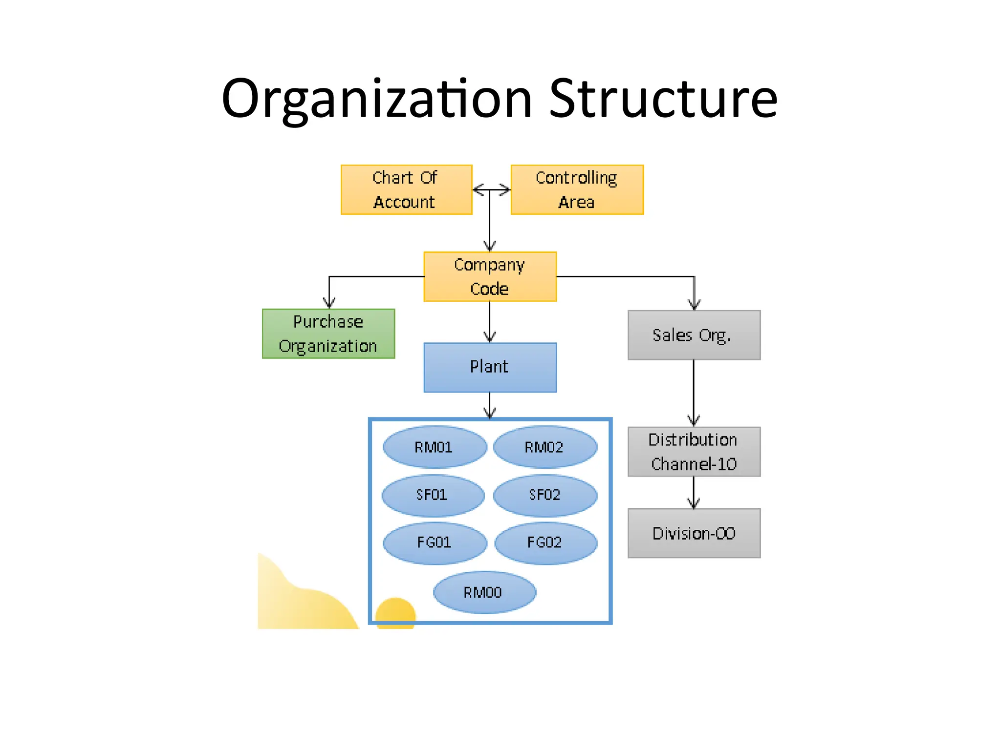 SAP MM_Enterprise structurezdfhtrhfbd bf.pptx