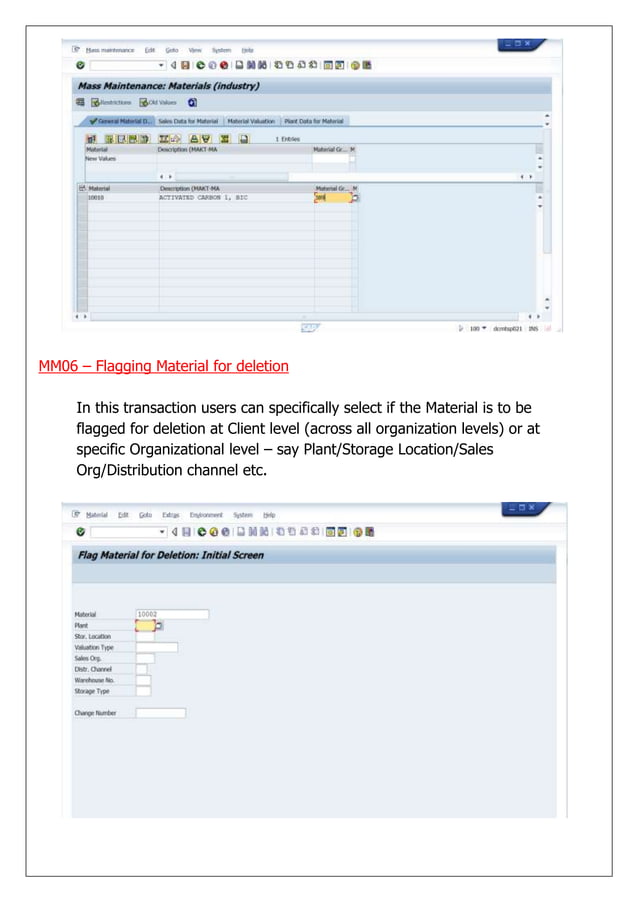 SAP MM Essential Master Data | DOCX