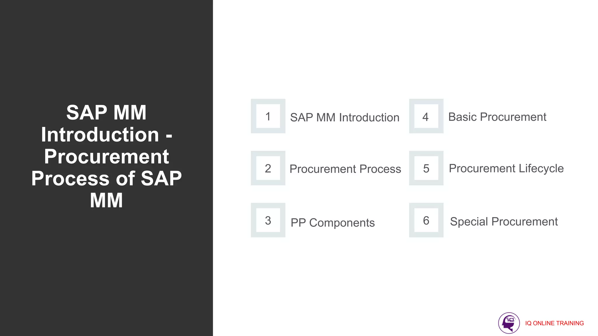 SAP MM Introduction - Procurement Process of SAP MM | PPTX