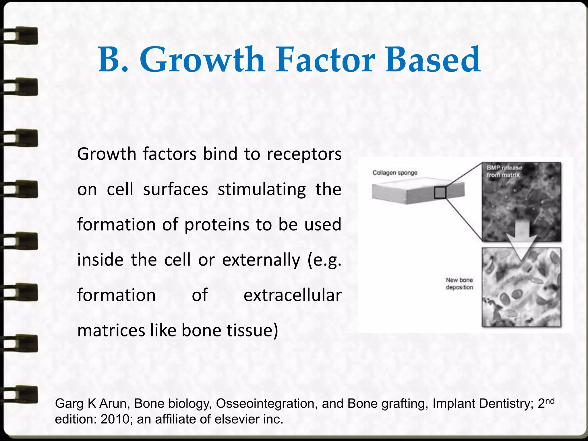 Bone grafts | PPTX