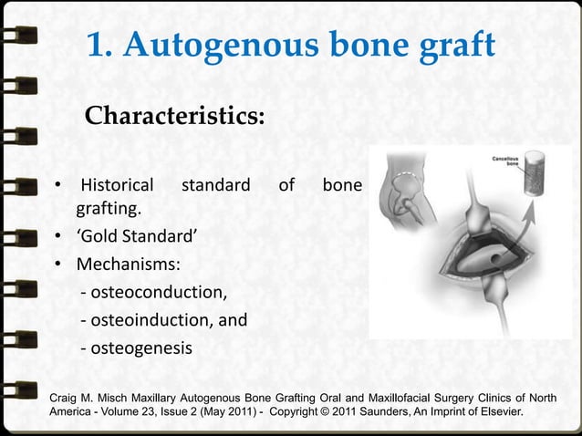 Bone grafts | PPTX | Bone and Joint Conditions | Diseases and Conditions