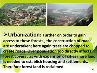 Deforestation | PPTX