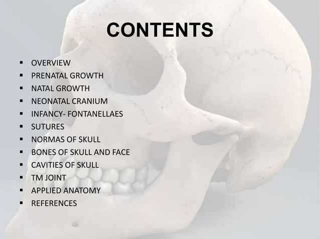 Osteology of facial bones | PPTX