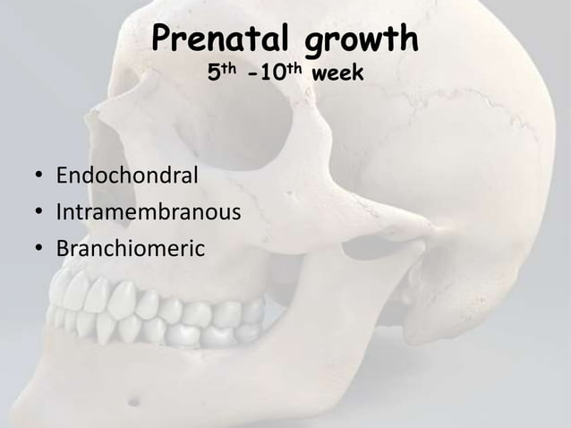 Osteology of facial bones | PPTX