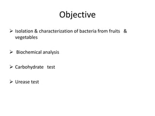 Isolation and characterization of bacteria from fruits and vegetables ...