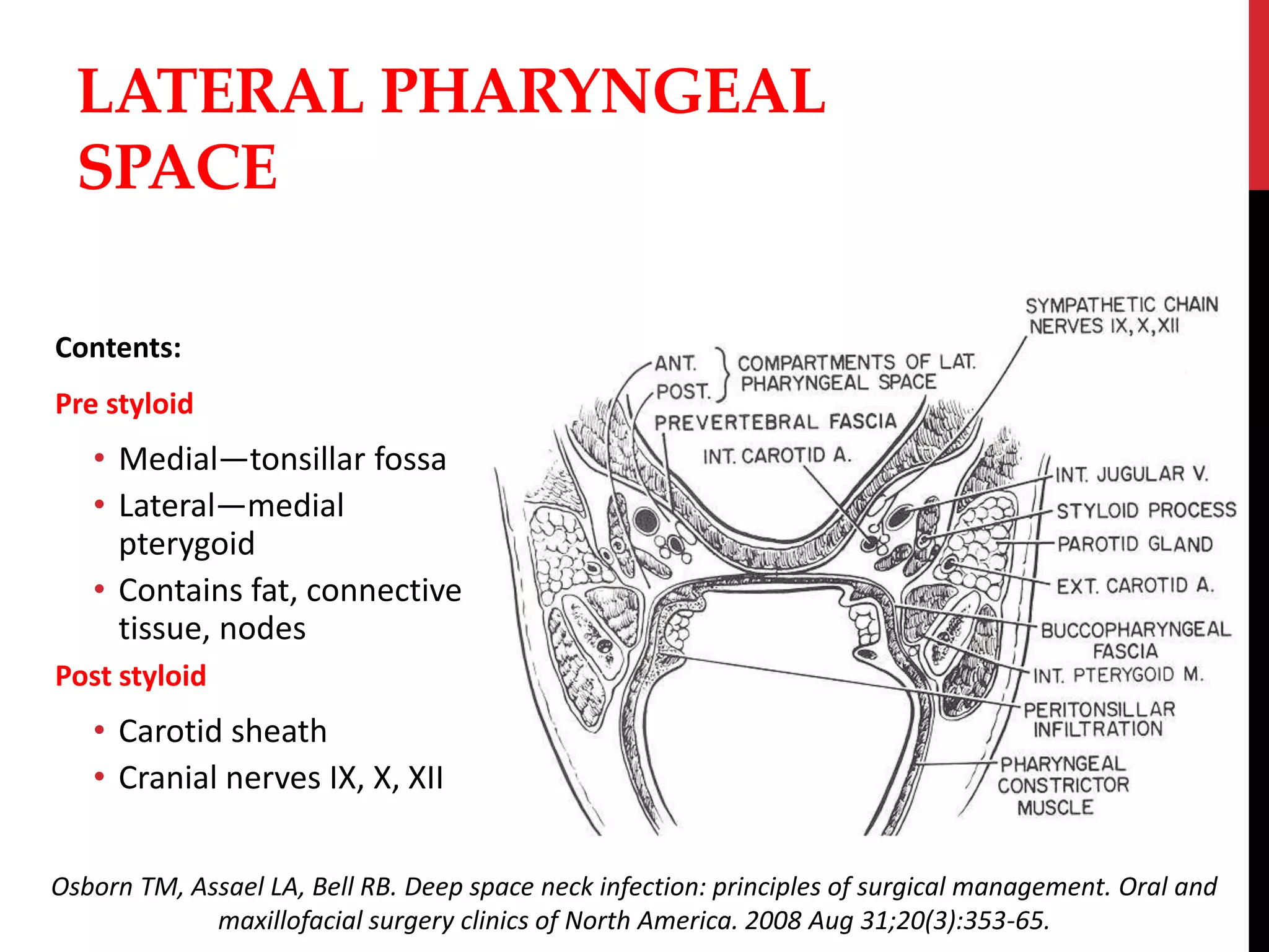 Deep space infections of Head and Neck | PPTX