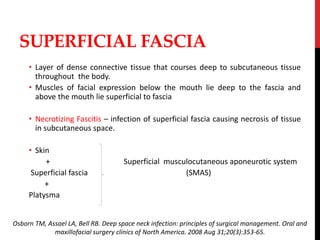 Deep space infections of Head and Neck | PPTX