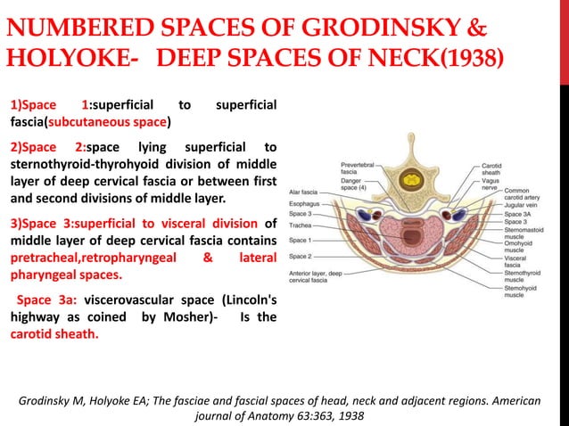 Deep space infections of Head and Neck | PPT