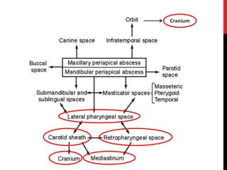 Deep space infections of Head and Neck | PPTX