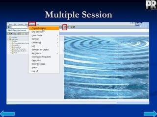 Sap navigation | PPTX
