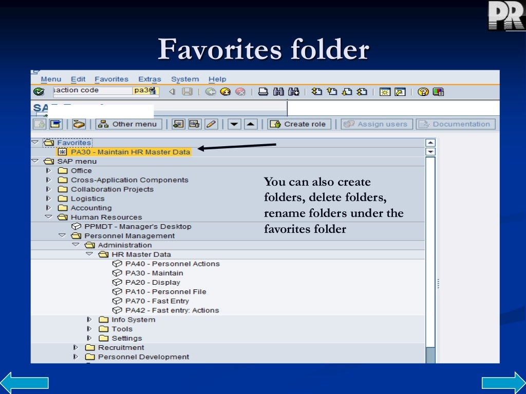 Sap Navigation 