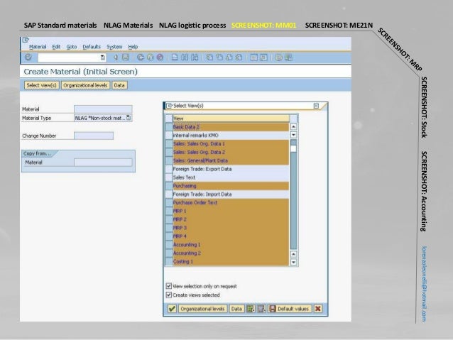 SAP – Non Stock Materials (NLAG)