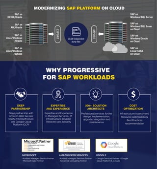 SAP on Cloud | PDF