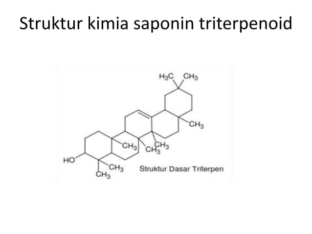 Saponin | PPT