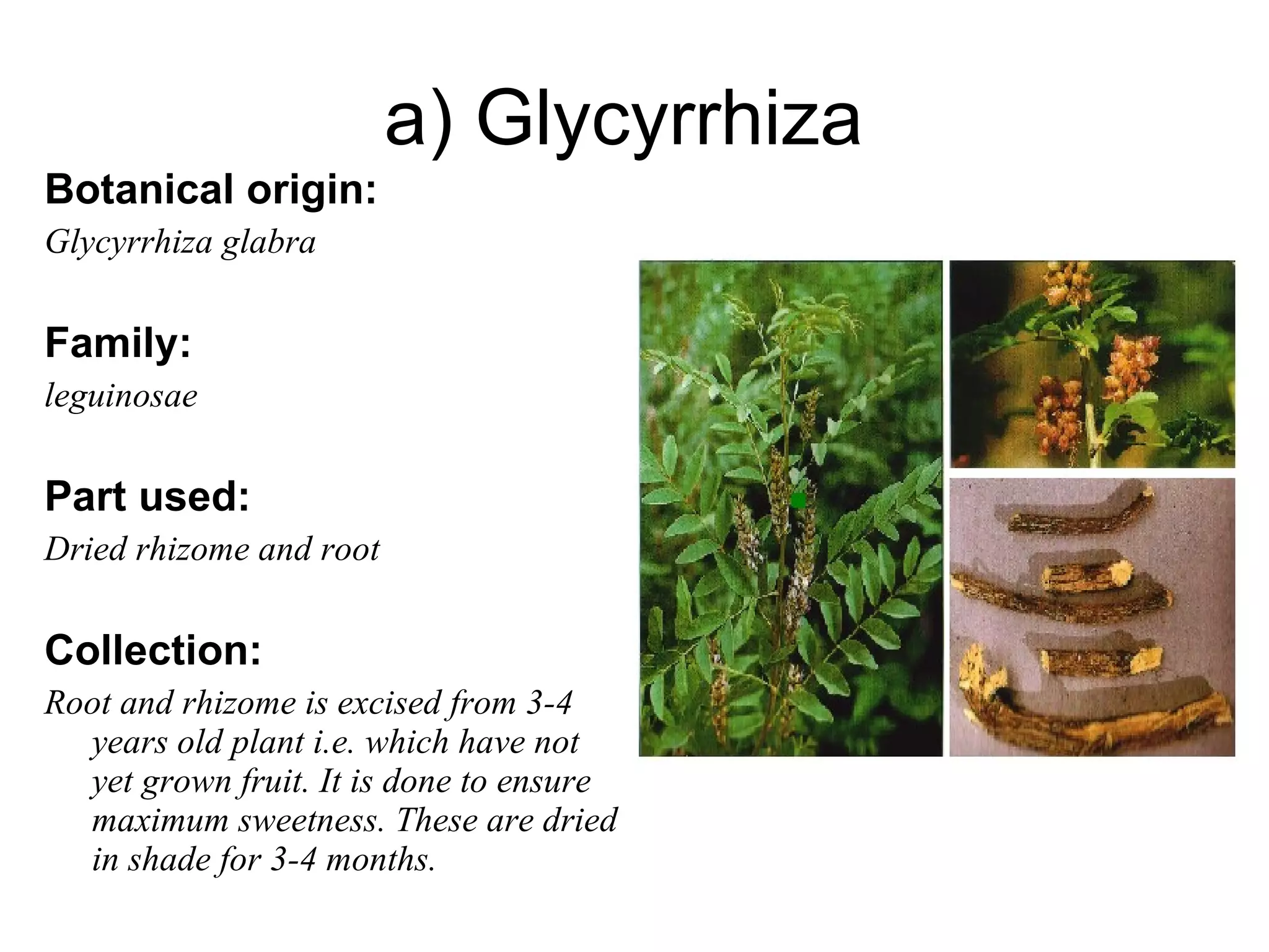 Saponin glycosides | PPT