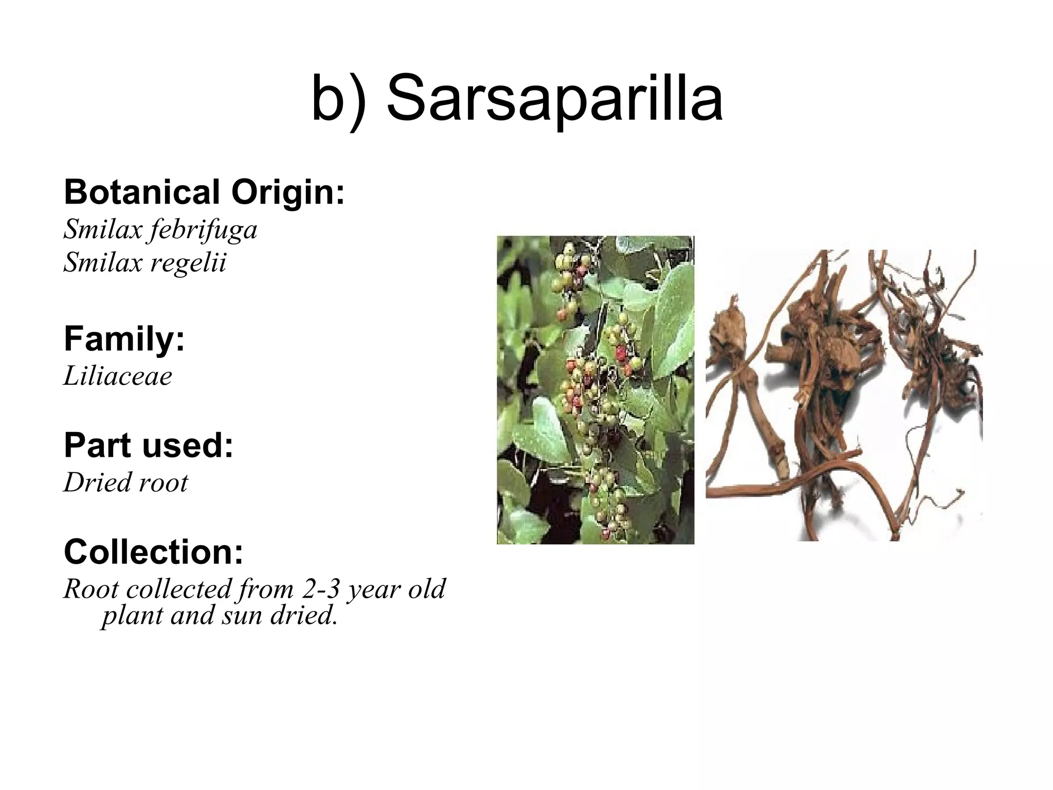 Saponin glycosides | PPT