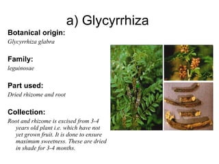 Saponin glycosides | PPT