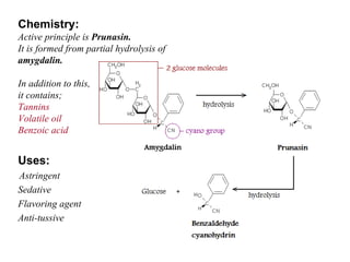 Saponin glycosides | PPT