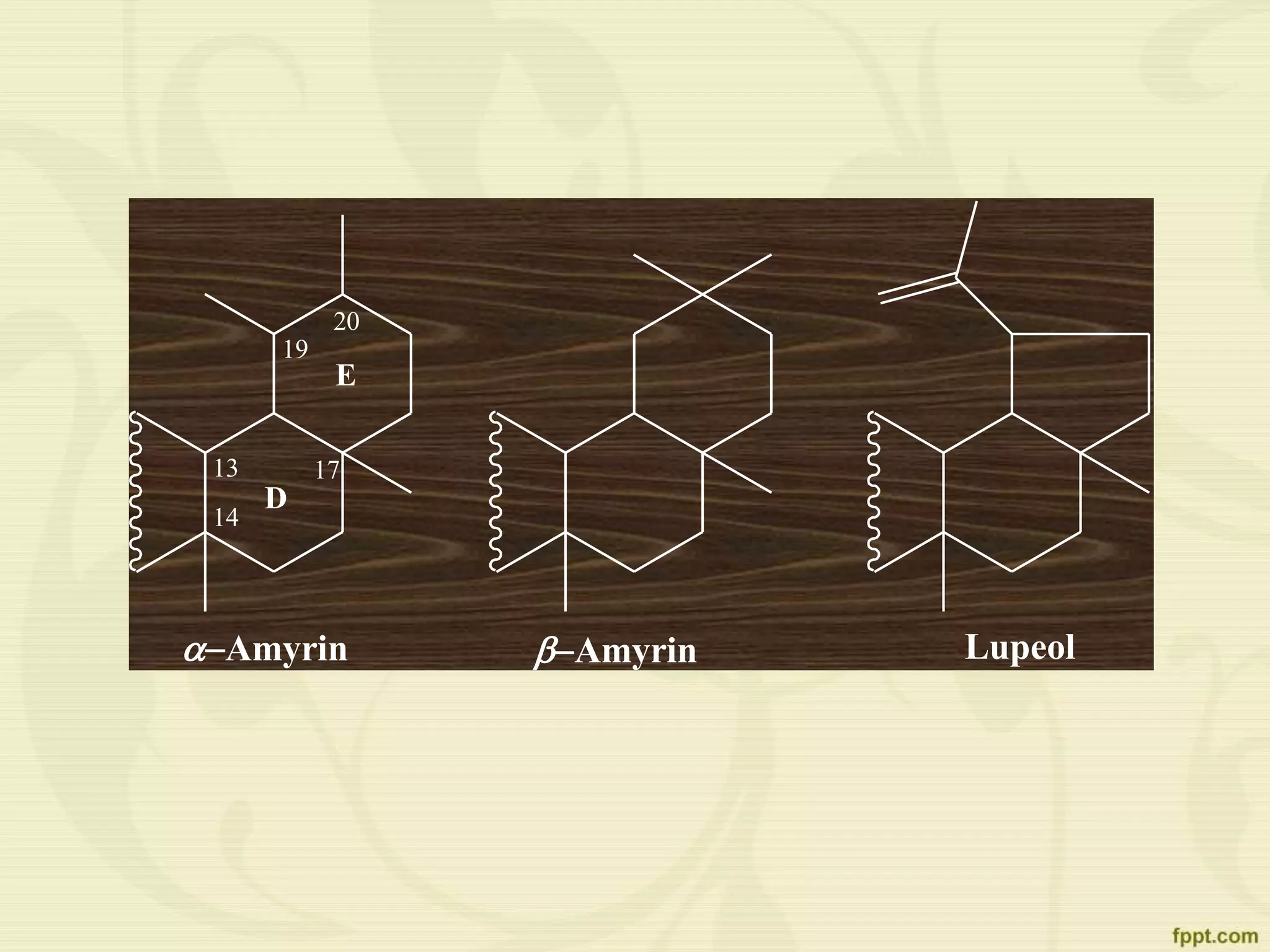 Saponin glycosides | PPT