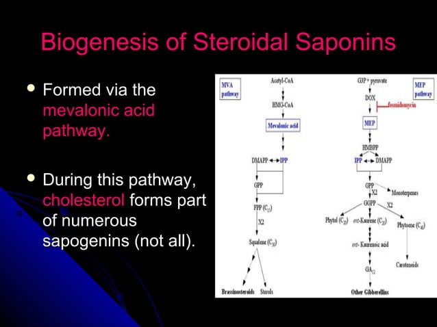 Saponins- a brief introduction | PPT | Medical Health