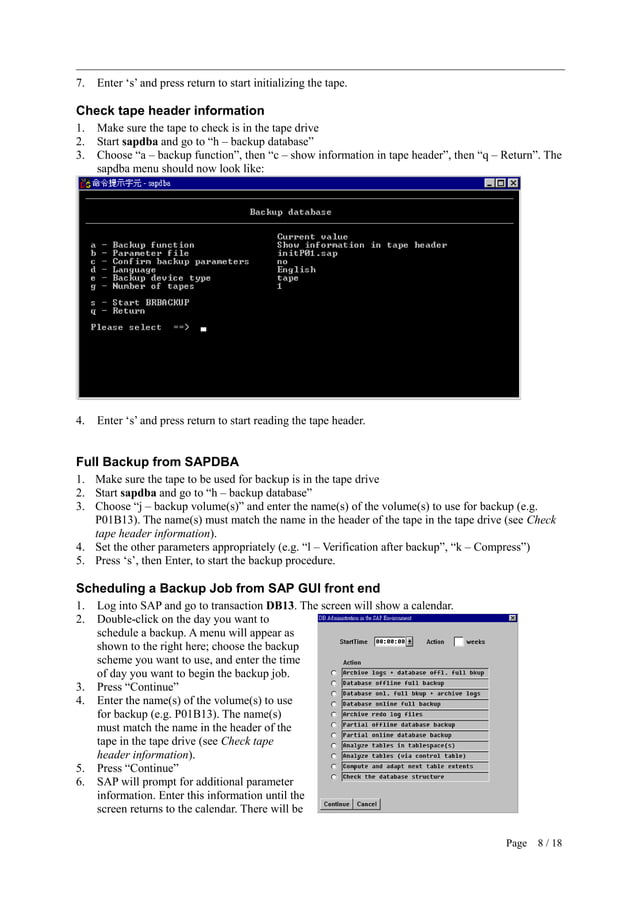 Sap operating manualornt | DOC | Operating Systems | Computer Software and Applications
