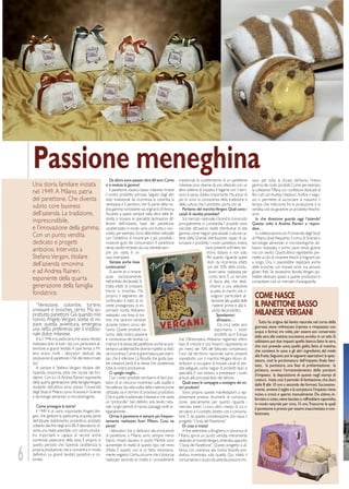 Passione Meneghina: Panettone Vergani | PDF