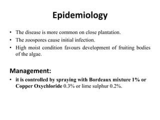 Diseases of Sapota | PPTX