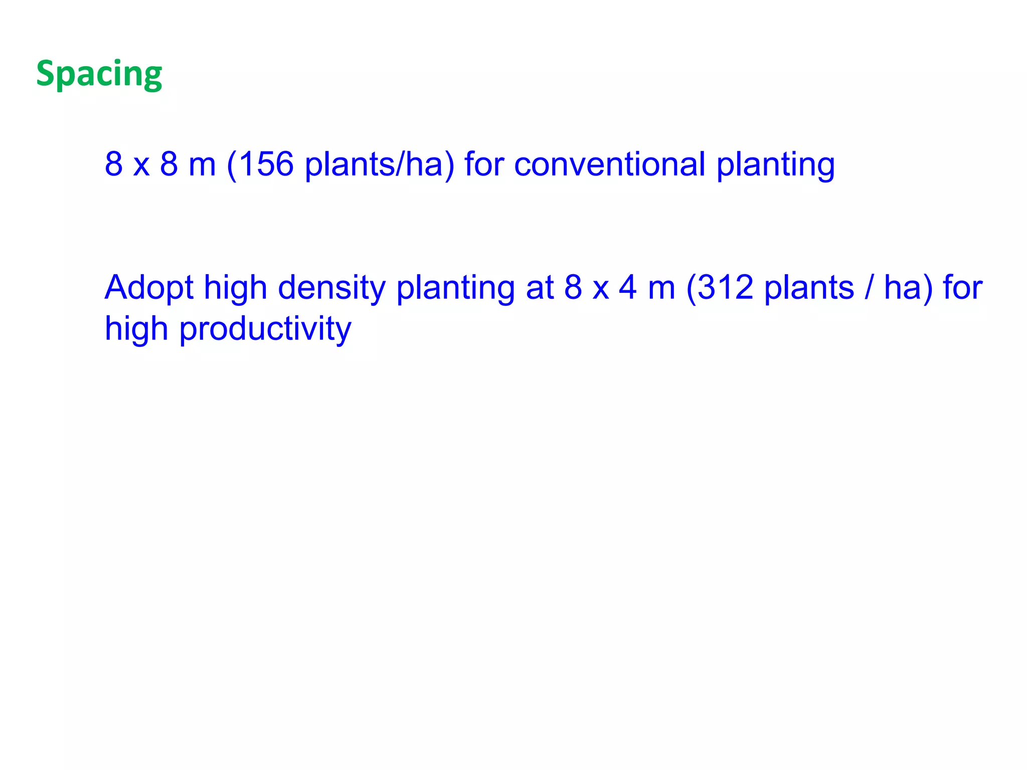 Sapota Production and plantation | PPT