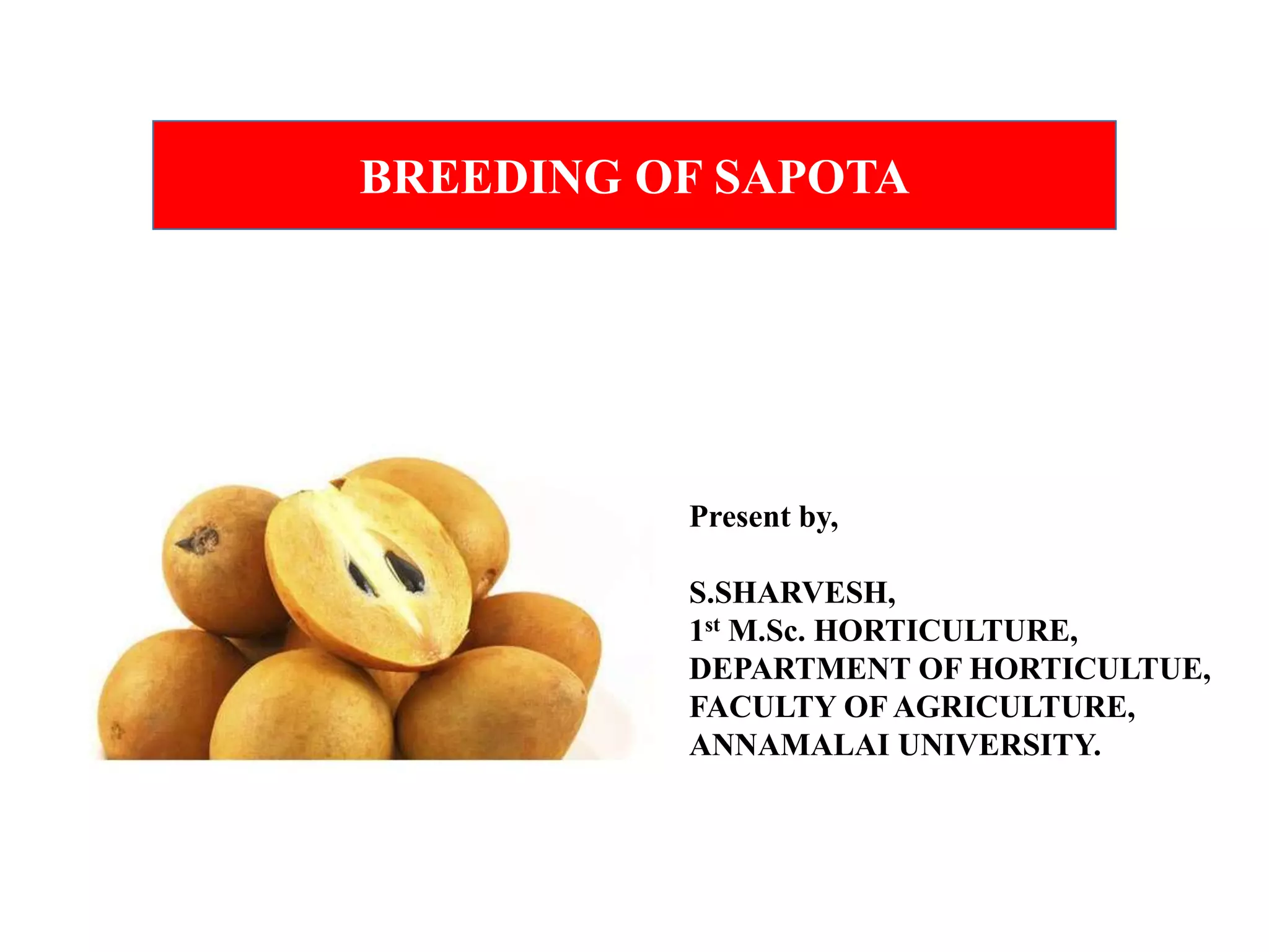 Breeding of sapota | PPTX | Gardening | Home & Garden
