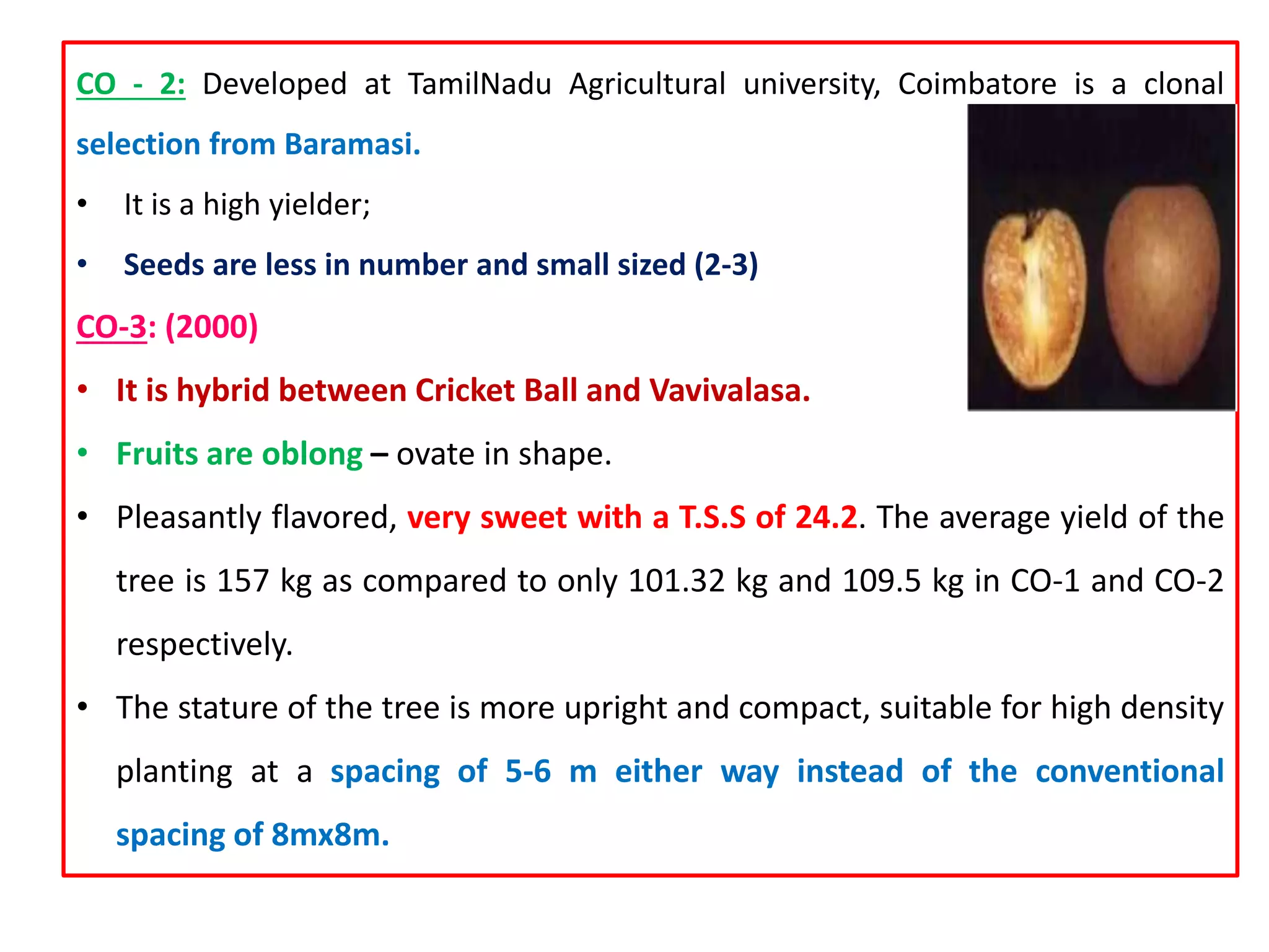 Breeding of sapota | PPTX