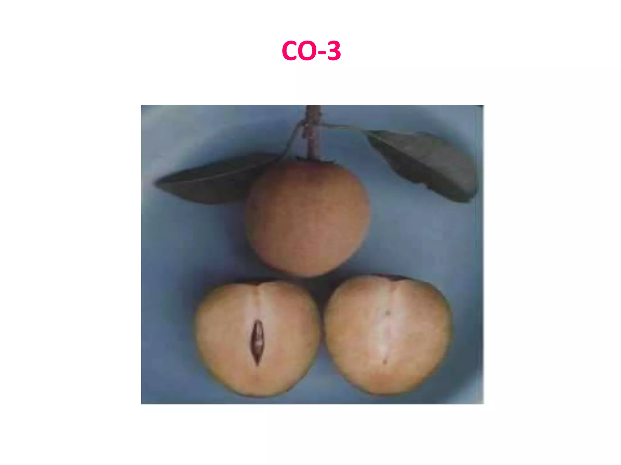 Breeding of sapota | PPTX