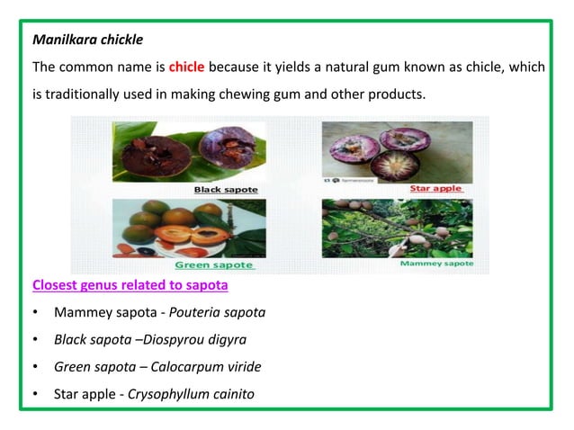 Breeding of sapota | PPTX | Gardening | Home & Garden