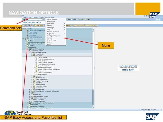 Sap overview | PPT