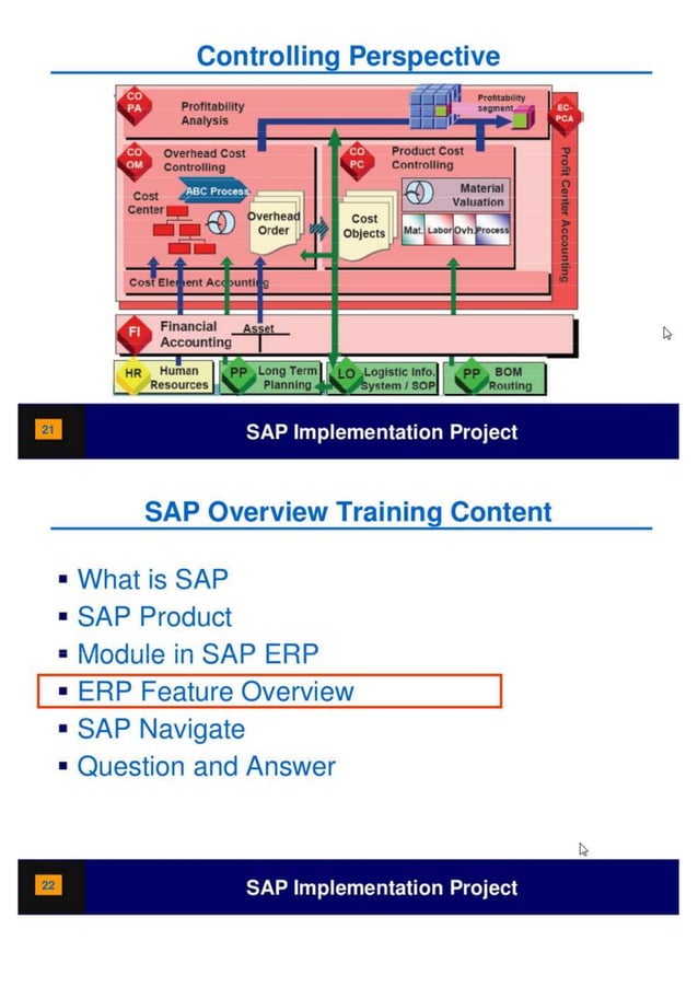 SAP Overview pdf | PDF