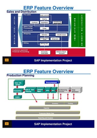 SAP Overview pdf | PDF