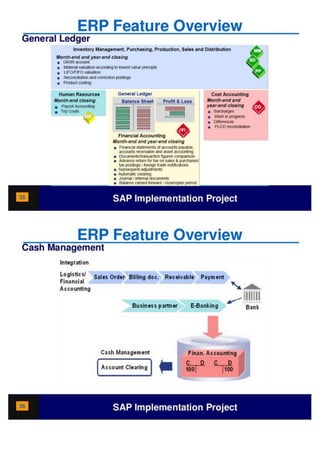 SAP Overview pdf | PDF