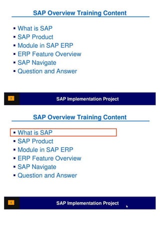 SAP Overview pdf | PDF