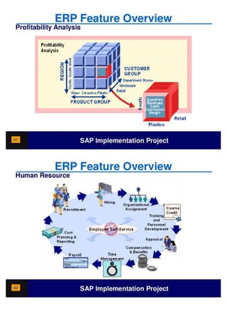 SAP Overview pdf | PDF