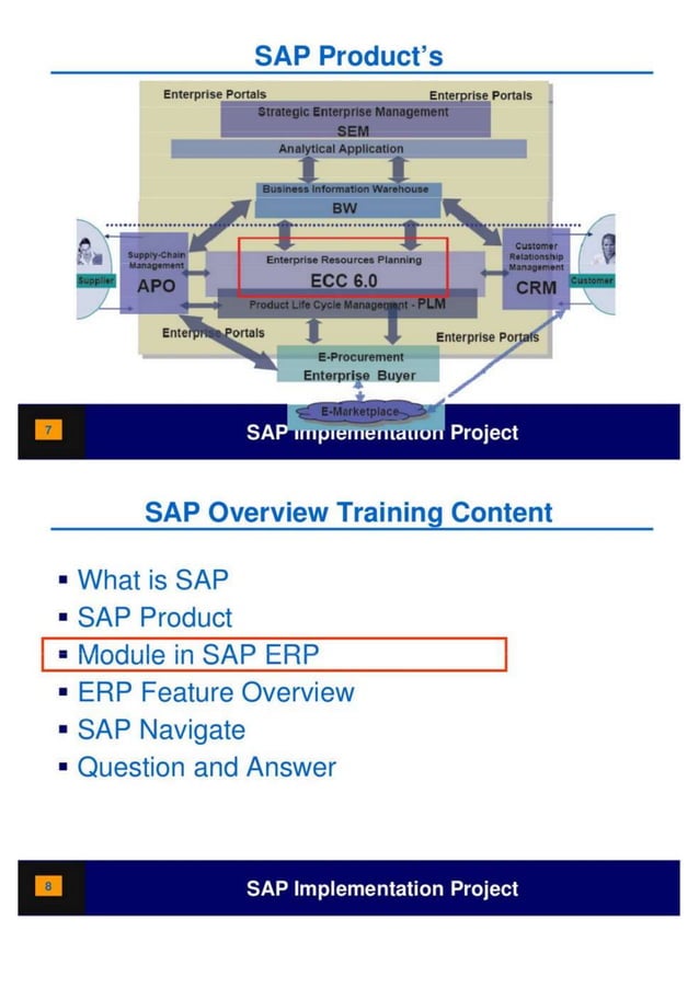 SAP Overview pdf | PDF