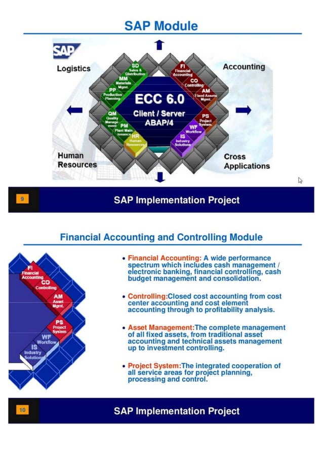 SAP Overview pdf | PDF