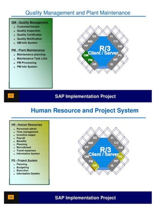 SAP Overview pdf | PDF