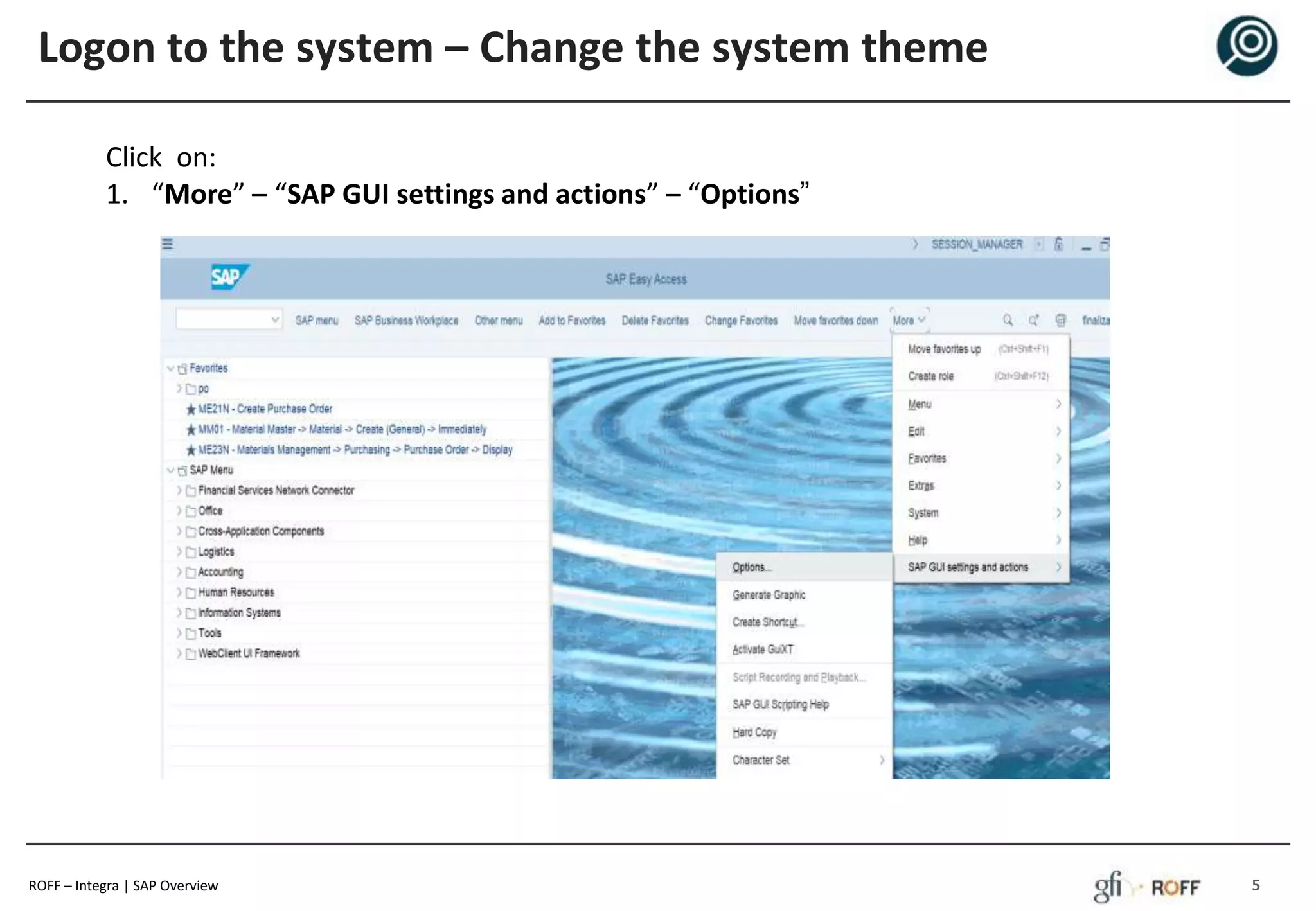 SAP_Overview v1.pptx