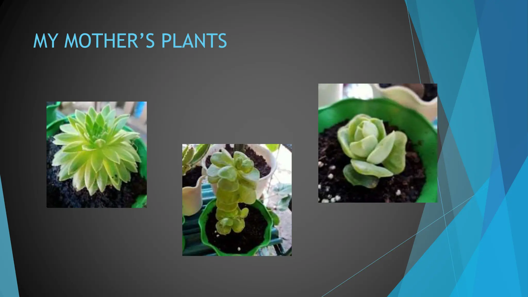 sapphire bumatay powerpoint presentation | PPT
